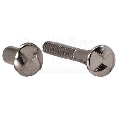 One-Way Security Screw